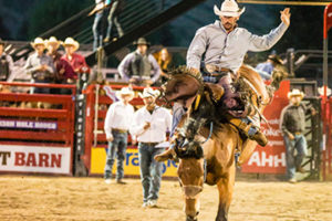 Included Excursion - Jackson Hole Rodeo - Tracks & Trails
