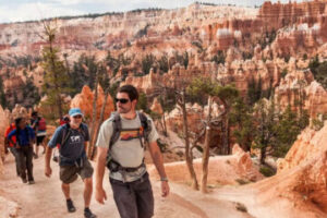 Bryce Canyon: Private Tour/Hike - 4 hours - Tracks & Trails